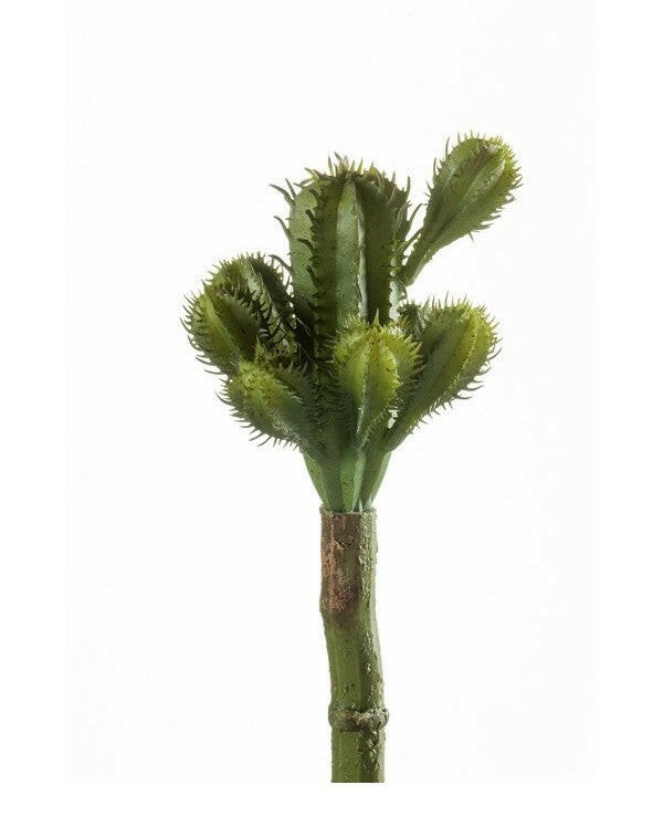 Artificial Succulent Cactus – Just Artificial