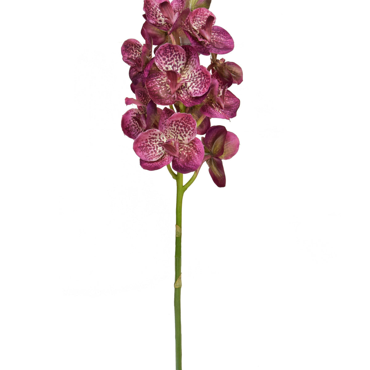 Artificial Silk Vanda Orchid – Just Artificial