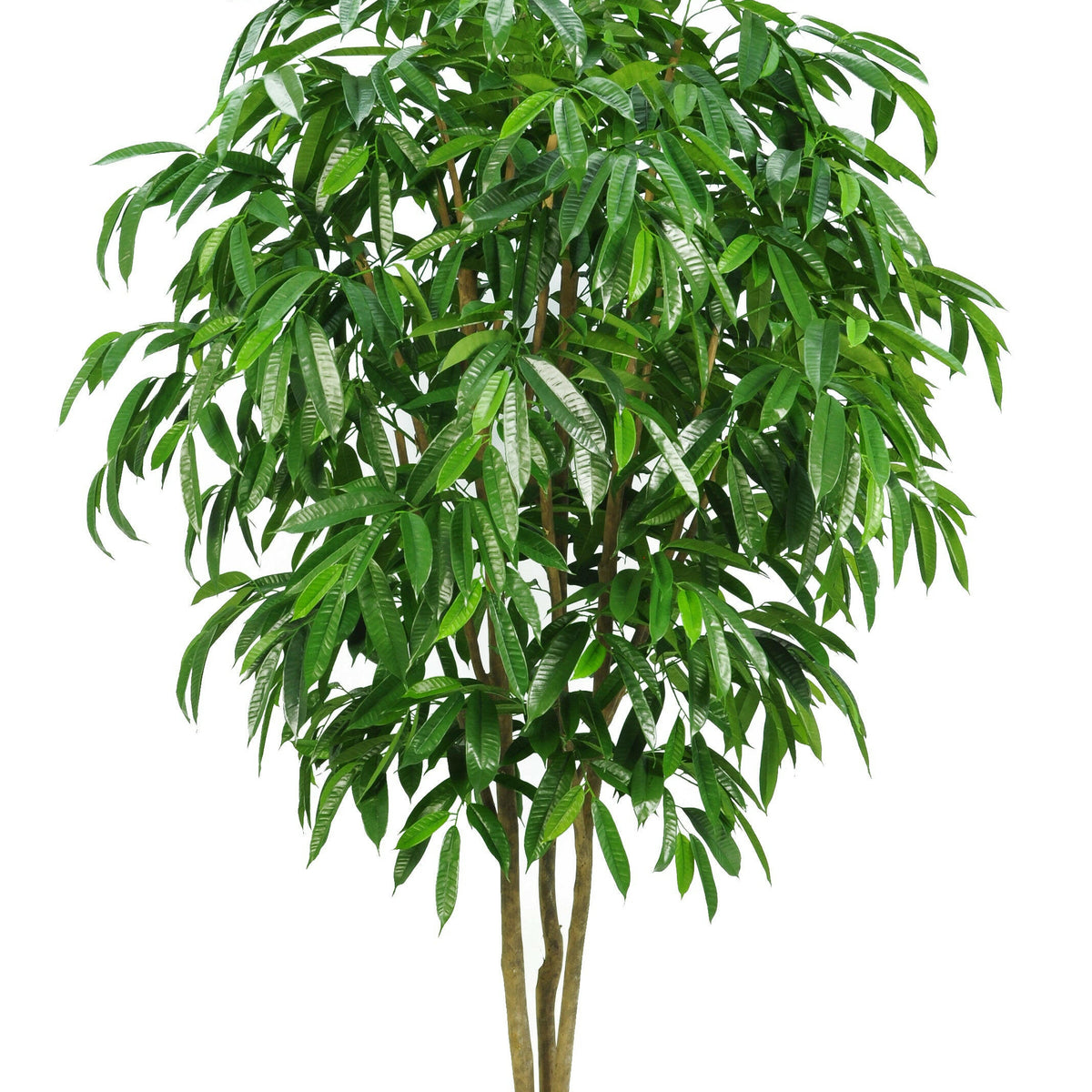 Artificial Silk Multi Trunk Ficus Longifolia Tree – Just Artificial
