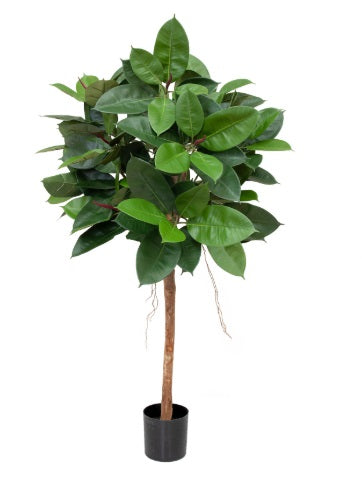 Artificial Silk Ficus Elastica Ball Tree FR – Just Artificial