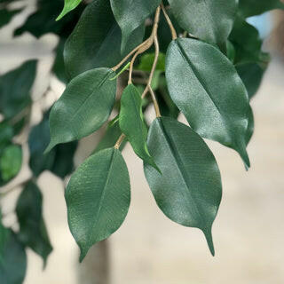 Artificial Bespoke Ficus Exotica Tree FR – Just Artificial